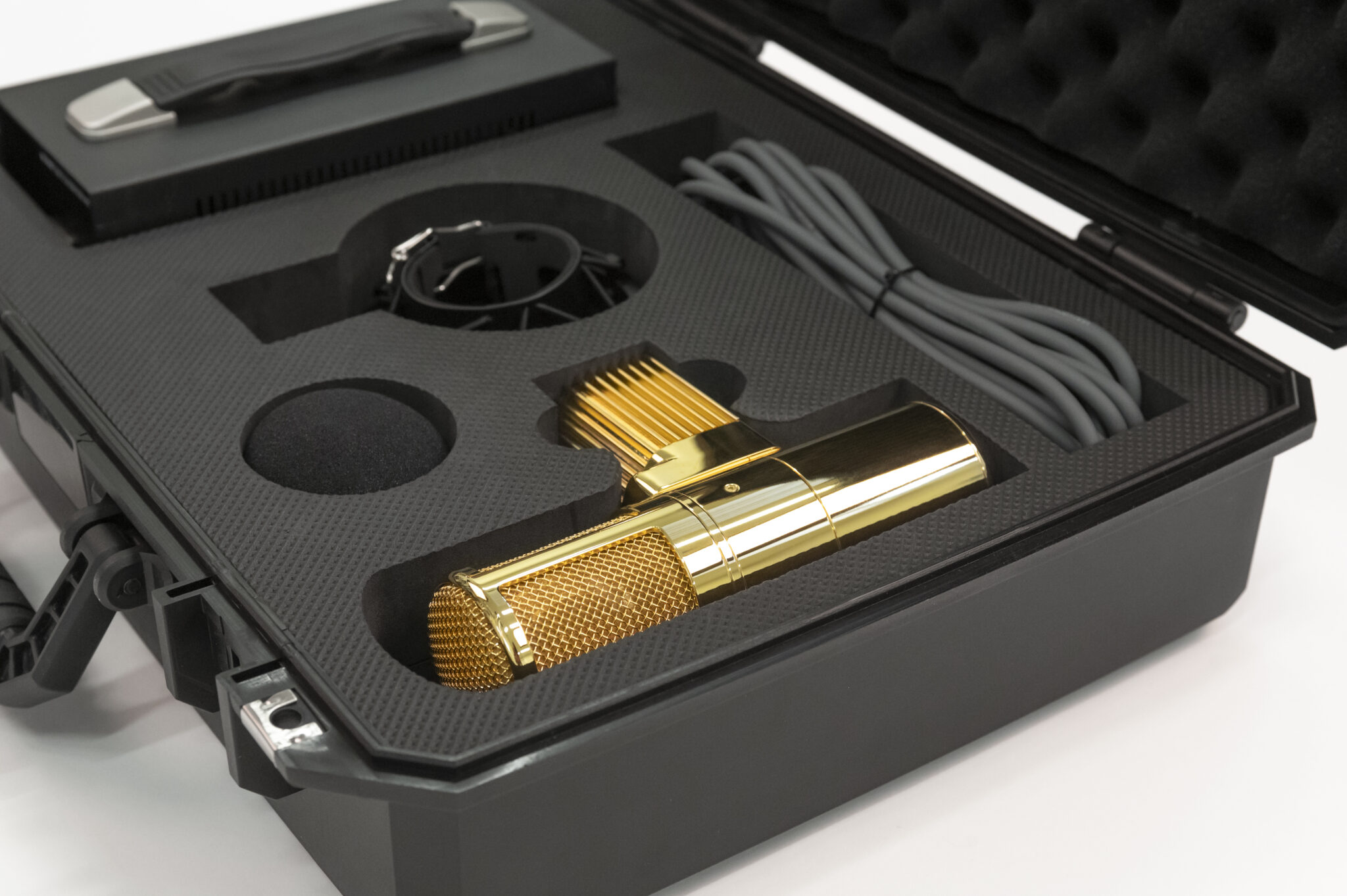 Warm Audio WA-8000G – Limited Edition Gold Large Diaphragm Tube ...